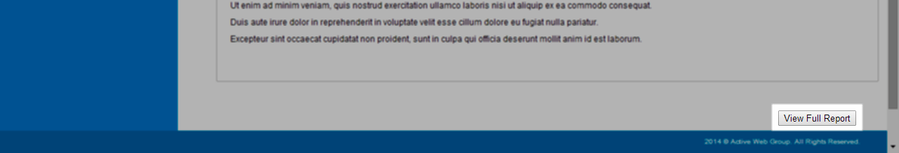 Online Reporting For Your Online Marketing Campaigns